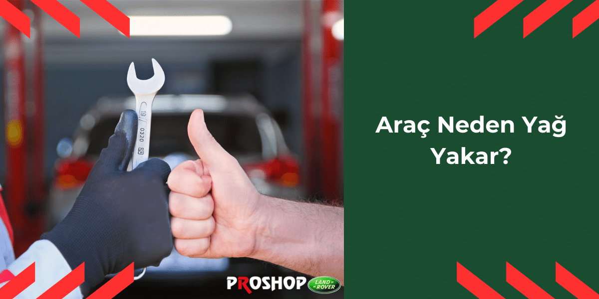 Araç Neden Yağ Yakar? | Proshop Özel Servisi